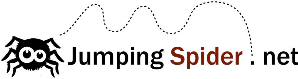 How To Care For A Jumping Spider - Make Your Spider Feel At Home ...