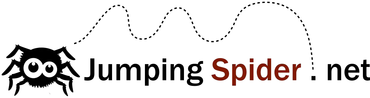 How To Care For A Jumping Spider - Make Your Spider Feel At Home ...